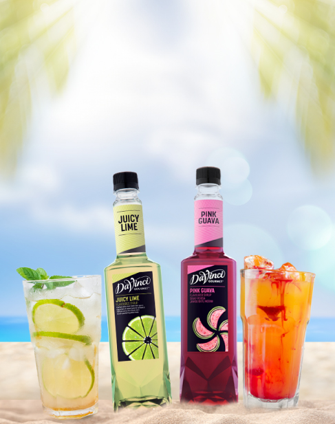 Home - DaVinci Gourmet